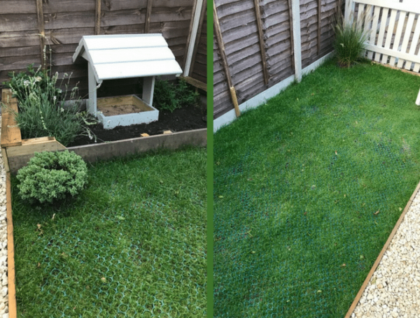 Grass Protection Mesh Used Next To A Chicken Coop