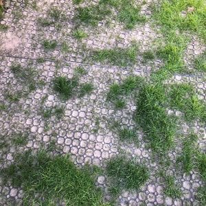 Rubber Grass Mats Installed on a Back Garden | MatsGrids Blogs
